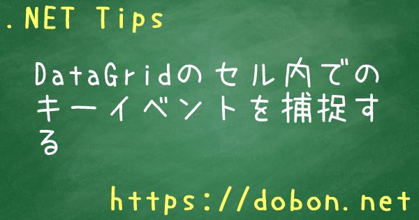 Datagridのセル内でのキーイベントを捕捉する Net Tips Vbnetc